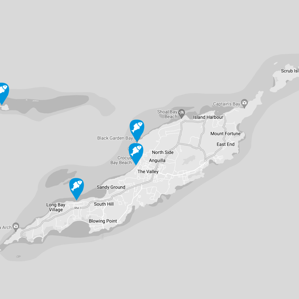 Test of our ALTIVS APX underwater scooter - FUNSEAKER boat charter St ...